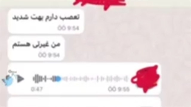 فایل صوتی لو رفته هالک ایرانی و درخواست عکس و فیلم از دختر نماشا