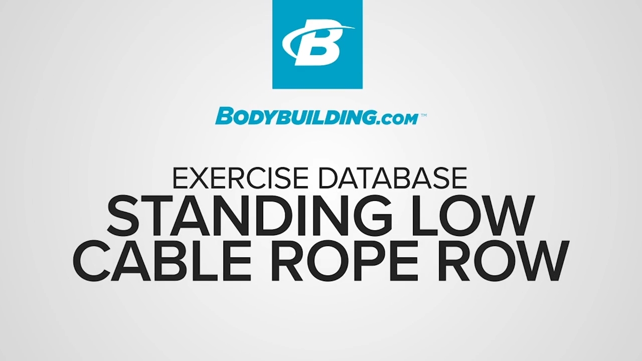 زیر بغل سیم کش از پایین خمیده با طناب Standing Low Cable Rope Row - نماشا